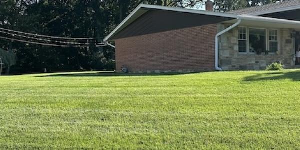 Lawn Renovation & Repair in the Delaware Valley | Greenskeeper ...